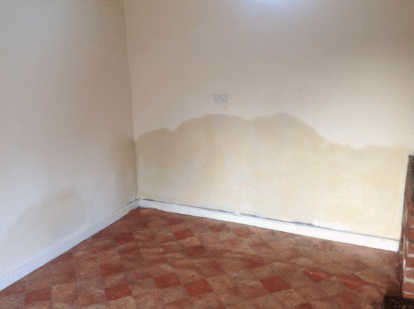 3 Common Causes of Damp on Walls with Recommended Solutions – sturdflex