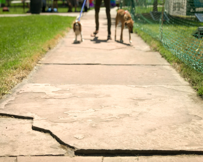 An in-depth understanding of why concrete cracks and the types of ...