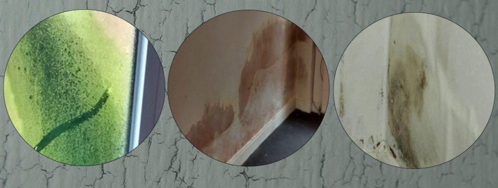 Understanding Penetrating Damp: Causes, Effects, and How to Identify It ...